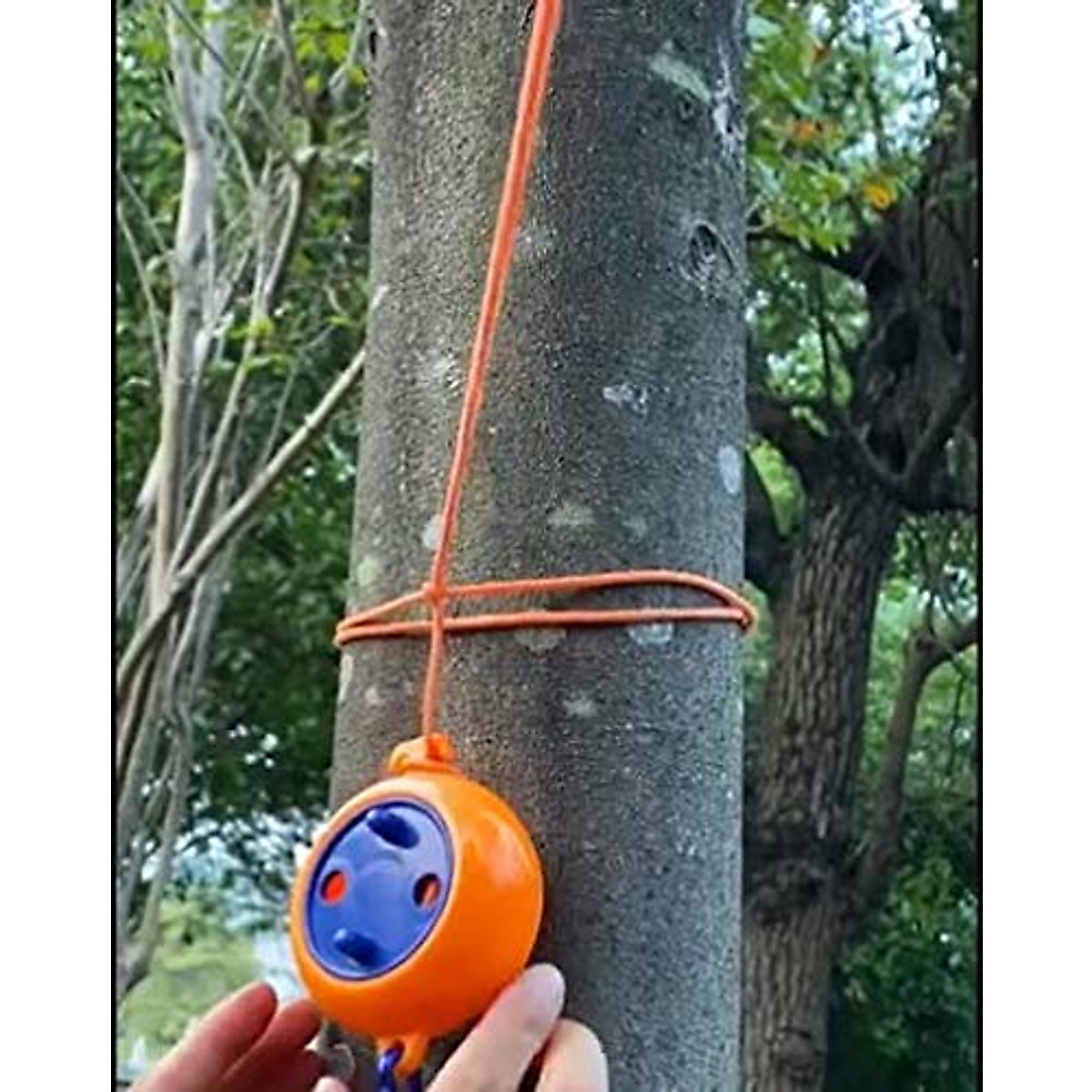 Longdex 8M telescopic clothesline portable windproof adjustable box-type rope , adjustable clothesline with 10 windproof clothespins, Multi-Functional.