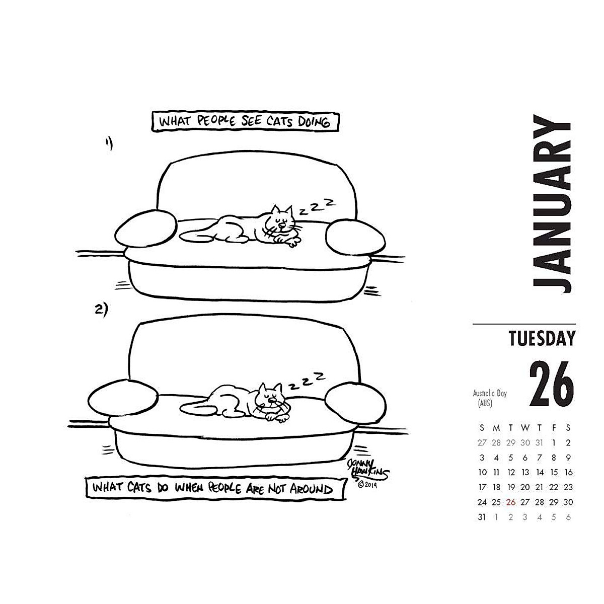 Cat Cartoon-A-Day by Jonny Hawkins 2021 Box Calendar