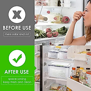 G · PEH Fruit Storage Containers for Fridge Fresh Container with Filterable Basket & Airtight Lid Vegetable and Fruit Saver Containers Refrigerator Organizer for Fruit Salad Lettuce Berry Meat