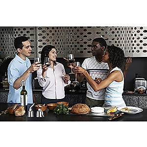 Wine Stoppers(2 PACK Bright)，Wine Bottle Stoppers Stainless Steel，Reusable Wine Saver，Wine Sealer Keeps Wine Fresh，Wine Bottle Plug With Silicone，Superior Leak-Proof，Best Gift