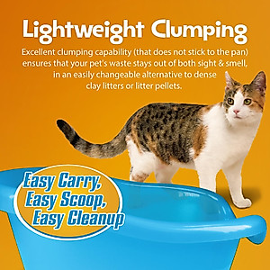 SmartCat All Natural Clumping Cat Litter, 10 Pound (160oz 1 Pack) - Alternative to Clay and Pellet Litter - Chemical and 99% Dust Free - Unscented and Lightweight