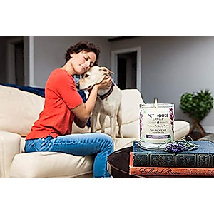 One Fur All - 100% Natural Plant-Based Wax Candle, 30+ Fragrances - Pet Odor Eliminator, Appx 60 Hours Burn Time, Scented Jar Candles – Pet House Candle, (Pack of 1, Fresh Citrus)