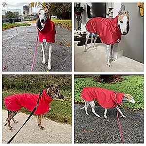 Greyhound Lurcher Winter Coat, Whippet Coat with Padded Fleece, Waterproof Dog Jacket with Adjustable Bands and Zipper Harness Hole - Red - Medium