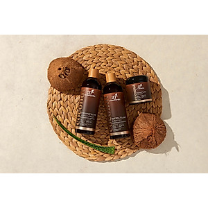 Artnaturals Coconut-Lime Daily Conditioner– 16 Fl Oz - Professional Deep Hydrating Moisturizing For Curly Fine Oily Dry Damaged and Color Treated Hair – Natural, Sulfate Free and Vegan