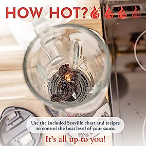 DIY Gift Kits Standard Hot Sauce Making Kit with Everything Included for DIY; Make Your Own Hot Sauce Kit for Adults; Ingredients, 3 Recipes, & Bottles Included; Gift For Birthdays, Fathers Day & More