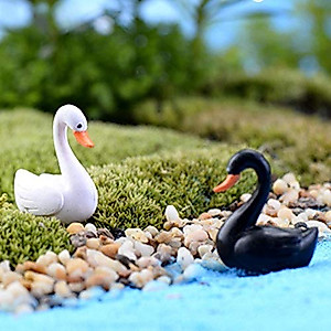 Shineweb 2Pcs Resin Couple Swan Model DIY Miniature Landscape Garden Bonsai Ornaments Outdoor Statues