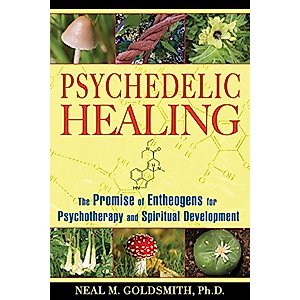 Psychedelic Healing: The Promise of Entheogens for Psychotherapy and Spiritual Development