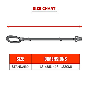 Ergodyne Squids 3155 Lanyard with Clamp End, Easily Attaches to Hard Hat, Tools, or Small Valuables, Weight Capacity 2lbs, 10-Pack