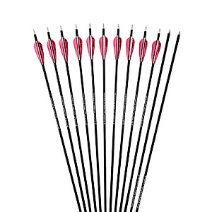 PANDARUS Archery Carbon Arrows 28-Inch Safety Beginner's Target Practice for Compound & Recuve Bow - (Pack of 12) Pink