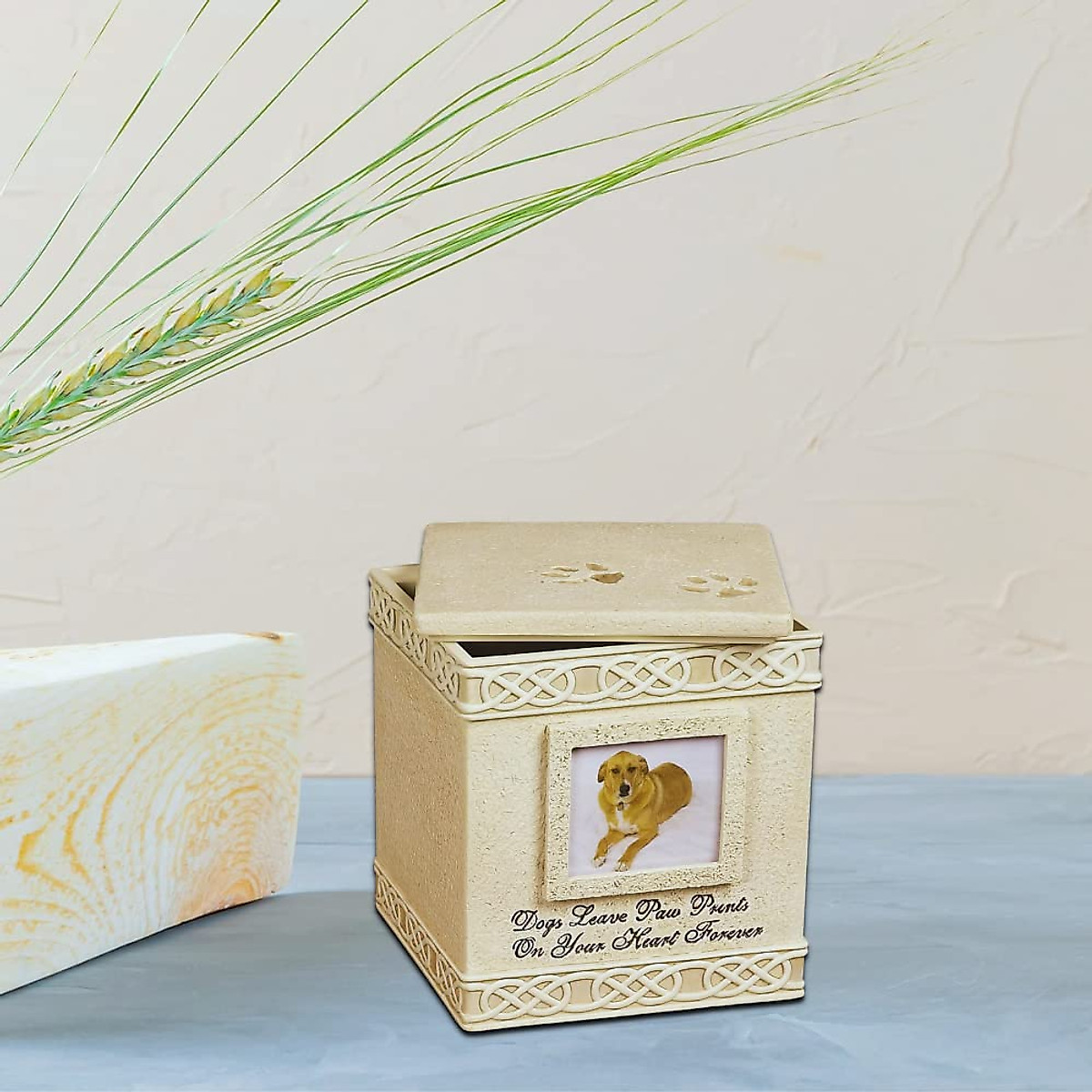 Comfy Hour 6" Porcelain Angel Star Pet Urn for Dog, Brown, Pet In Loving Memory Collection