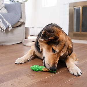 Outward Hound Dental Asparagus Treat-Dispensing Dental Dog Chew Toy, Medium, Green