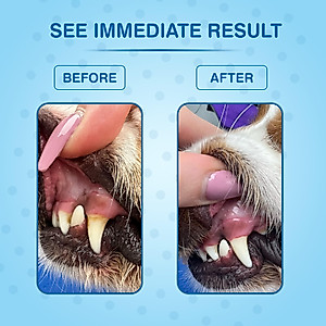 Follie 'n' Friends Dental Formula Water Additive - Combat Plaque and Tartar, Eliminate Bad Breath, Support Overall Gum Health - Easy to Use