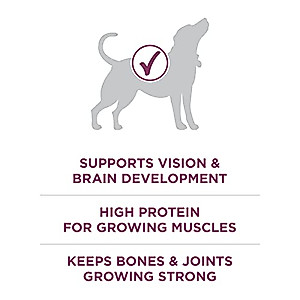 Purina ONE Plus Healthy Puppy Formula High Protein Natural Dry Puppy Food with added vitamins, minerals and nutrients - 16.5 lb. Bag