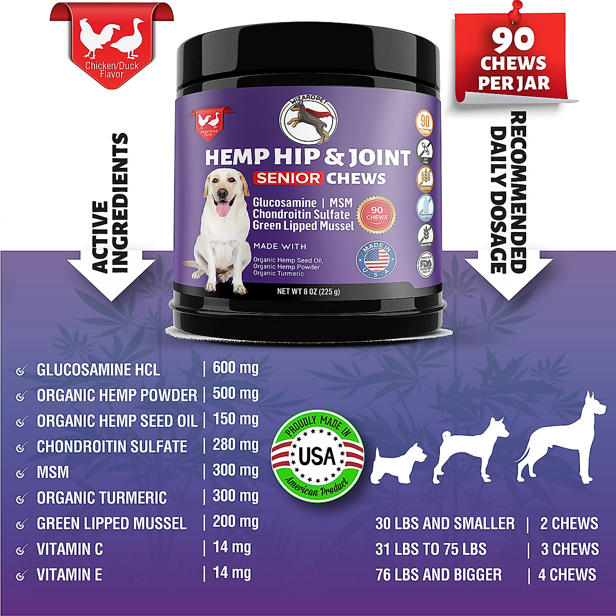WIZARDPET Mobility Hemp Oil Hip & Joint Supplement for Senior Dogs - Chondroitin Glucosamine MSM Turmeric Green Lipped Mussel - Extra Strength Formula for Arthritis Pain Relief & Mobility | 90 Chews