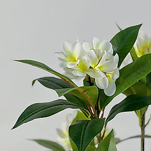 Real Touch Lifelike Artificial Plumeria Frangipani Flower Tree Red/White Silk Plumeria Flowers for Wedding Party Decoration (Size : 150cm)