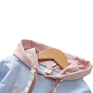 HZYBABY Baby Girls Long Sleeve Princess Skirt Dress for Toddler Swing Casual Hoodie Sweatshirt Dress Knee Length Blue, 3T