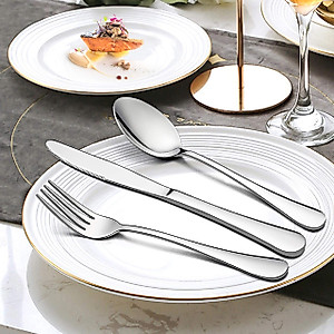 LIANYU 48-Piece Silverware Set with Steak Knives, Stainless Steel Flatware Cutlery Set for 8, Fancy Eating Utensils Tableware, Dishwasher Safe, Mirror Finish