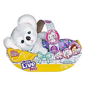Little Live Pets Cozy Dozy Kip The Koala Bear - Over 25 Sounds and Reactions | Bedtime Buddies, Blanket and Pacifier Included | Stuffed Animal, Best Nap Time, Interactive Bear - Styles May Vary