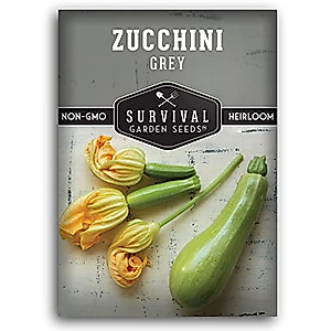 Survival Garden Seeds - Grey Zucchini Seed for Planting - Packet with Instructions to Plant and Grow Mexican Summer Squash in Your Home Vegetable Garden - Non-GMO Heirloom Variety