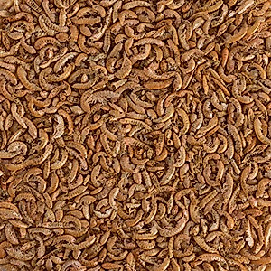 Tetra ReptoMin Select-A-Food 1.55 Ounces, For Aquatic Turtles, Newts And Frogs, Variety Pack (29253)