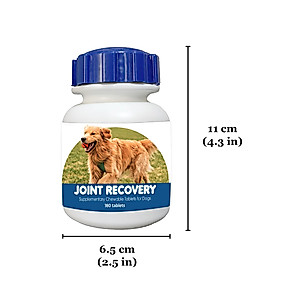 CoCoo Dog, Ferret & Rabbit Glucosamine, Joint Recovery Chewable Tablets, 180 Flavored Tablets, Improves Flexibility & Mobility