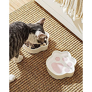LE TAUCI Cat Bowls Ceramic, Small Cat Dishes, 8 Oz Shallow Cat Food Bowls for Indoor Cats, Relief Whisker Fatigue Cat Bowls, Cat Water Dish, Cute Paw Shaped Kitten Bowls, Flat Cat Plates