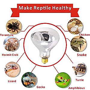 UVB Reptile Light 160W - UVB Light Bulb for Reptile Bearded Dragon Mercucry Vapor Bulb Basking Heat UVA UVB All in One Sun Lamp