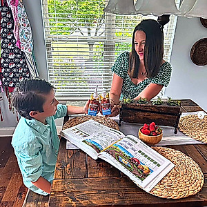 Breakfast Essentials Nutritional Drink | Chocolate Milk Boxes For Kids has 10g Protein, 21 Vitamins | Kid Approved Taste instant breakfast | Rich Milk Chocolate | 8 Fl oz Pack of 6| Every Order is Elegantly Packaged in a Signature BETRULIGHT Branded Box!