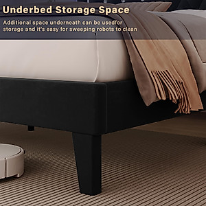 Fastroby Black Queen Size Bed Frame with LED Light, Adjustable Headboard Tufted, Velvet Upholstered Platform Bed Frame No Box Spring Needed, Easy Assembly