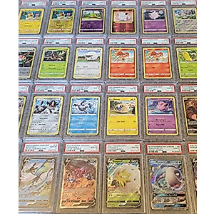 One Random PSA 10 Gem Mint Graded and Authenticated Encased TCG Card (Perfect for Display)