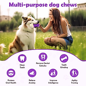 Tough Dog Toys for Aggressive Chewers,Dog Puzzle Toys Indestructible Dog Toys, Interactive Dog Chew Toys with Beef Flavor Rubber Dog Enrichment Toys for Small/Medium/Large Dogs