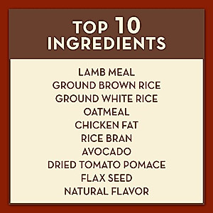 AvoDerm Natural Dry Dog Food, For Skin & Coat, Lamb & Rice Formula, 15 Pound