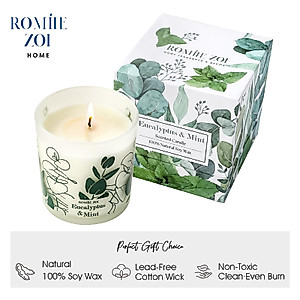 ROMIIE ZOI Scented Candle - Eucalyptus & Mint - 6oz Aromatherapy Soy Wax Jar Candle for Home, Gifts for Women - 170g