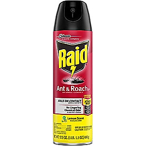 Raid Ant & Roach Killer Lemon Scent, 17.5 OZ (12)