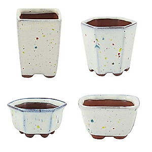 Happy Bonsai 4 pc Mini Glazed Pots Value Set