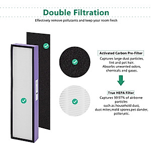 Drolma 2 Pack FLT5250PT Filter C True HEPA Replacement Filters + Pre Filter, Compatible with GermGuardian Air Purifier AC5250PT, AC5000E, AC5300B, AC5350W, AC5350B, CDAP5500 Series Filter C, 2 Units