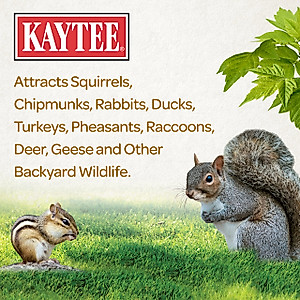 Kaytee Squirrel & Critter Food Blend For Squirrels, Chipmunks, Rabbits & Other Backyard Wildlife 10 Pound (Pack of 1)