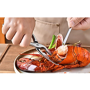 Crab Leg Crackers and Tools Set - Lobster Cracker, Scissors, Picker/Fork for Seafood Boil and Nut Opener - Full Stainless Steel