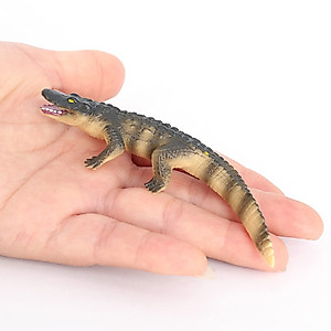 Crocodile Growth Cycle, Animal Growth Cycle Biological Model Toy Growth Stage Lifelike Crocodile Life Cycle Model Set for Kids Education Insect Themed Party Favors