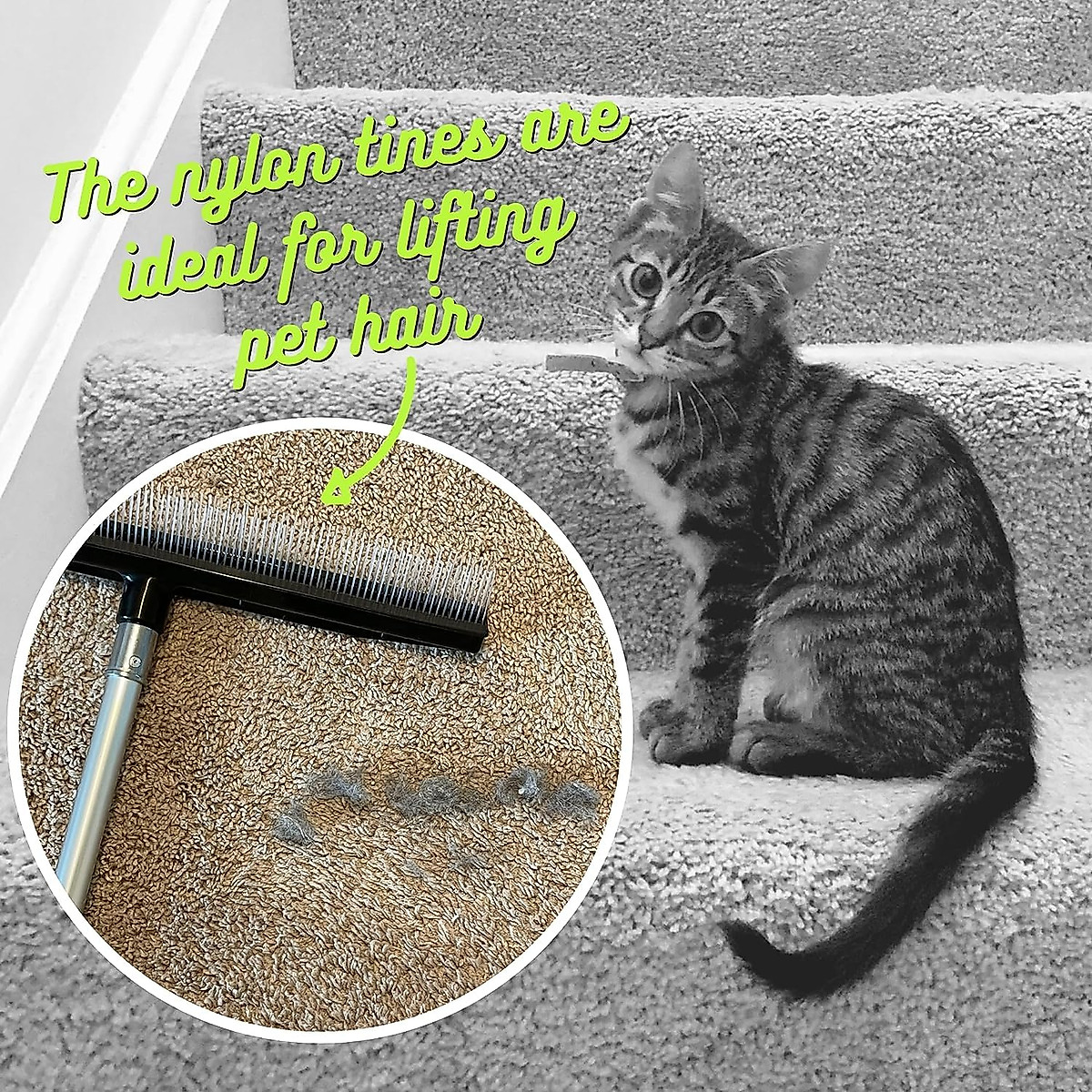 A-to-Z Supply Room Groom Carpet Rake and Groomer with Telescoping 54" Adjustable Handle, Portable Design, Carpet Brush Ideal for Pet Hair, Refreshing High Pile Carpets and Artificial Turf, (Pack of 2)