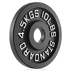 Philosophy Gym Standard Cast Iron Olympic 2-inch Weight Plate, 10 LB, Single Weight Plate
