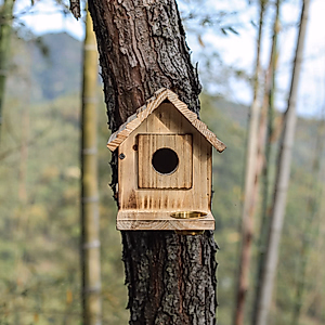 Bird House Birdhouse for Outside Wooden Bluebird House with Predator Guard Bluebird Nesting Box Wild Bird Watching Hanging Clearance Garden Bird Feeding Country Cottages
