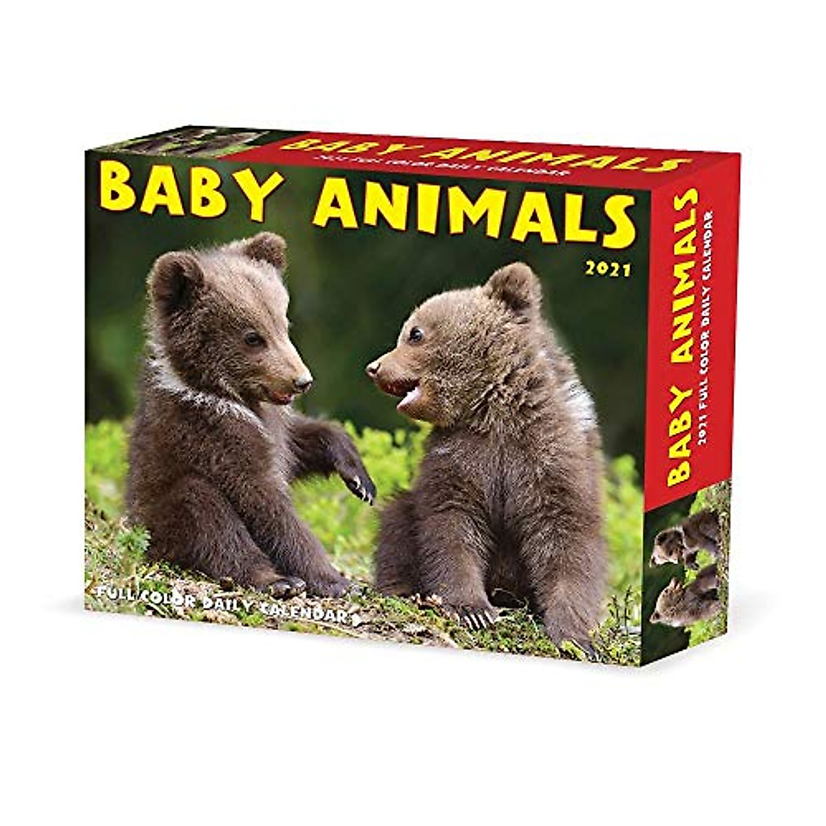 Baby Animals 2021 Box Calendar