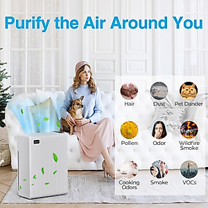 E-300L Air Purifier Official H13 Replacement Filter Compatible with MOOKA and MOOKA FAMILY E-300L Air Purifiers (White 2PC)