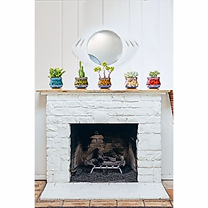 Cute Ceramic Succulent Garden Pots, Planter with Drainage and Attached Saucer, Set of 5 - Plants Not Included (Fambe)