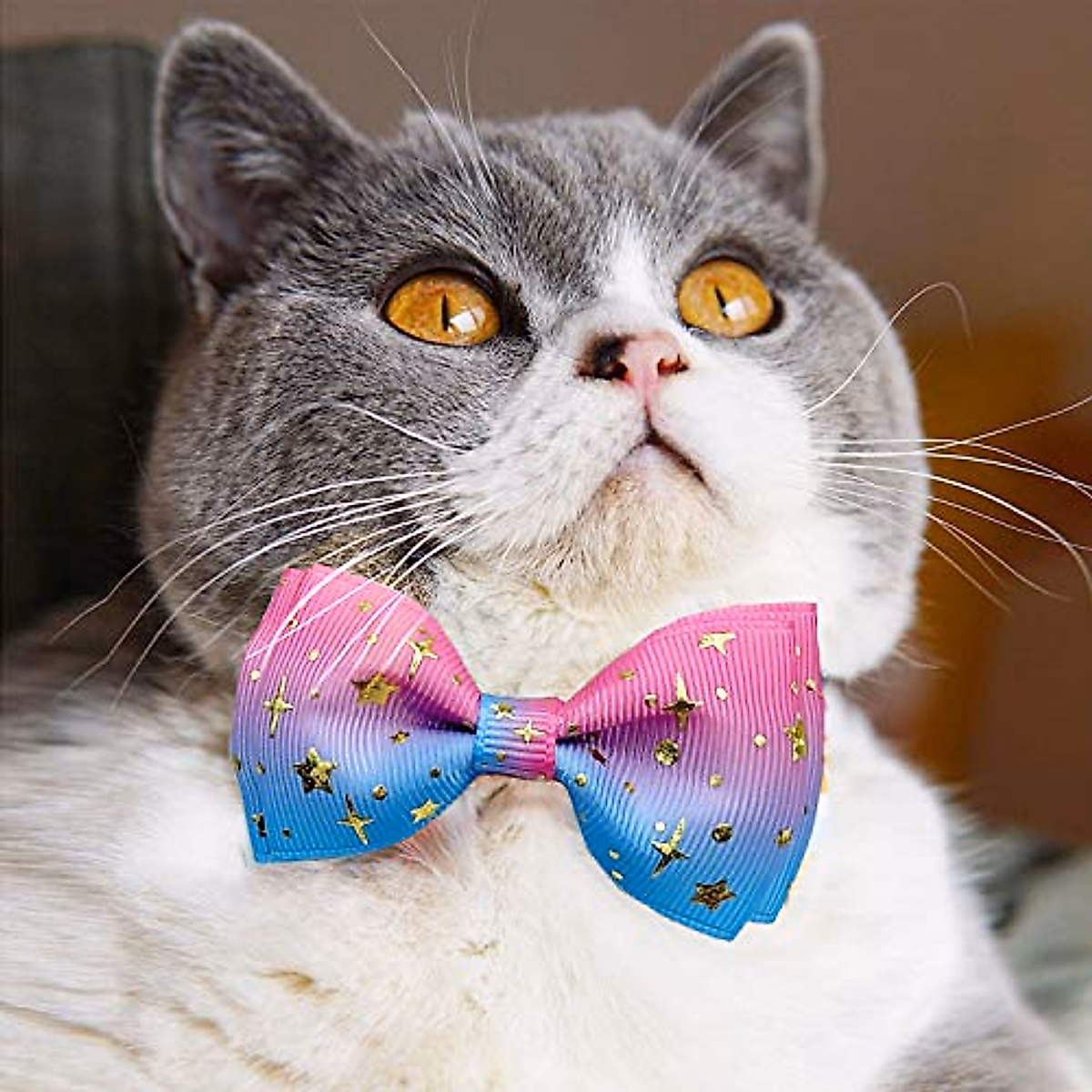 Pohshido 2 Pack Cat Collar with Bow Tie and Bell, Kitty Kitten Starshine Collar Breakaway Collar for Males Females Boys and Girls Cats (Rainbow+Black)