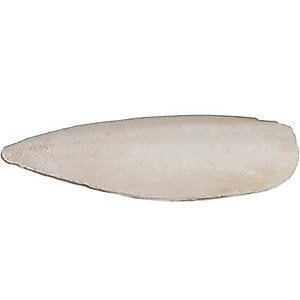 4-inch Cuttlebone (Bulk) / 25pc box