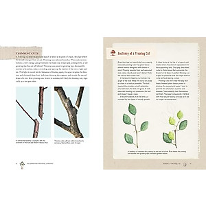 Grow a Little Fruit Tree: Simple Pruning Techniques for Small-Space, Easy-Harvest Fruit Trees