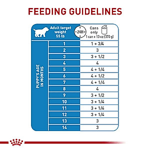 Royal Canin Size Health Nutrition Large Thin Slices in Gravy Wet Puppy Food, 13 oz., Case of 12