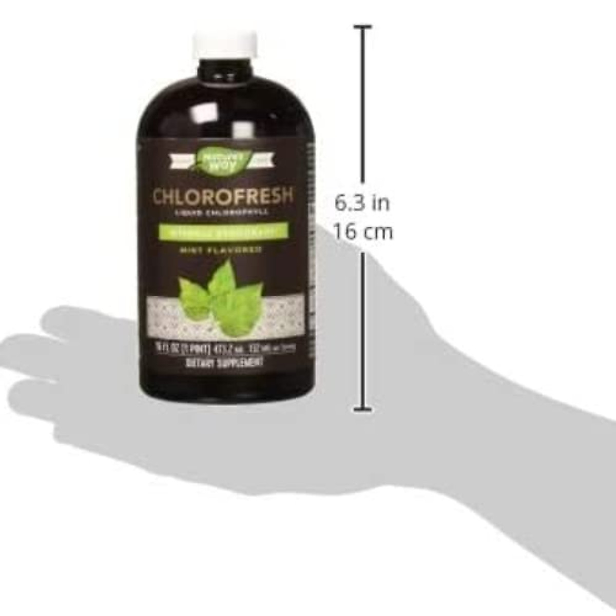 Natures Way Chlorofresh Liquid Natural Flavor, 16 FZ